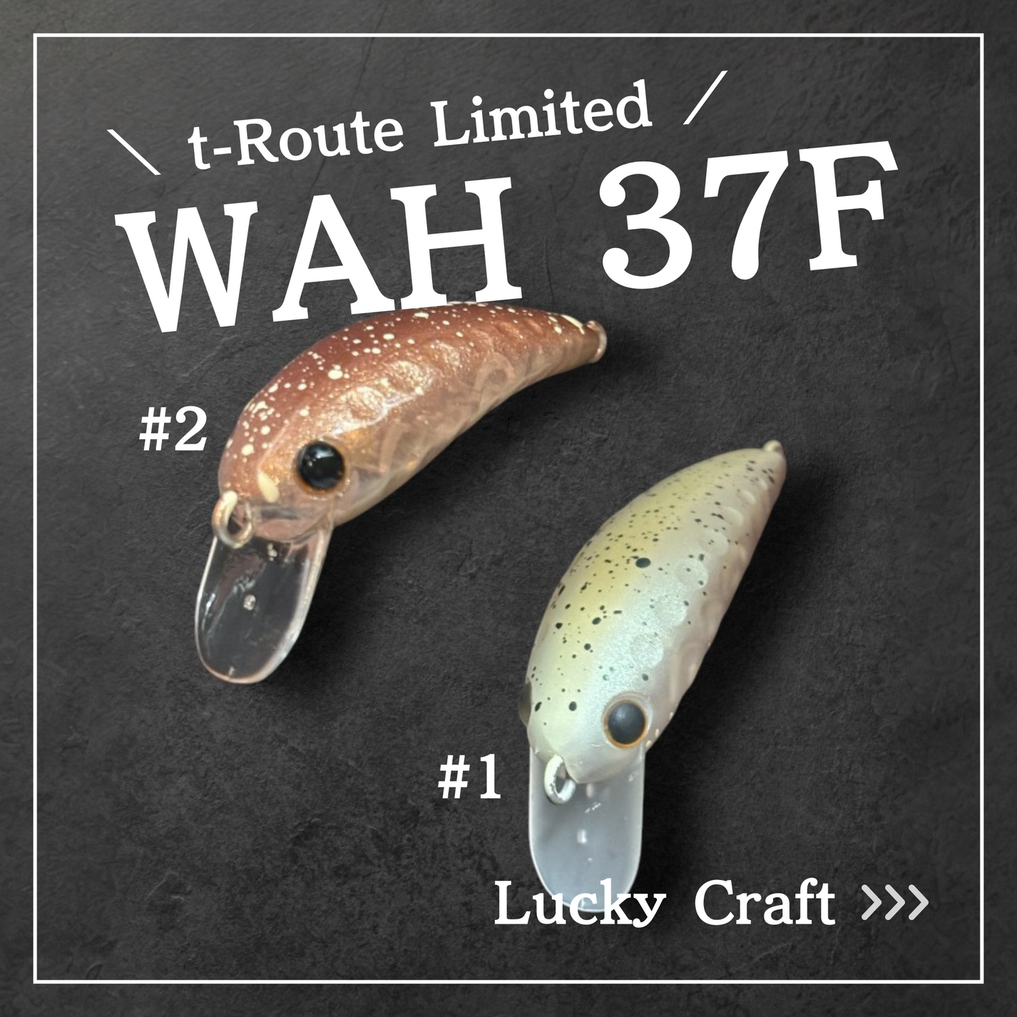 WAH 37F t-Route Limited（ワウ37 t-Routeオリカラ）